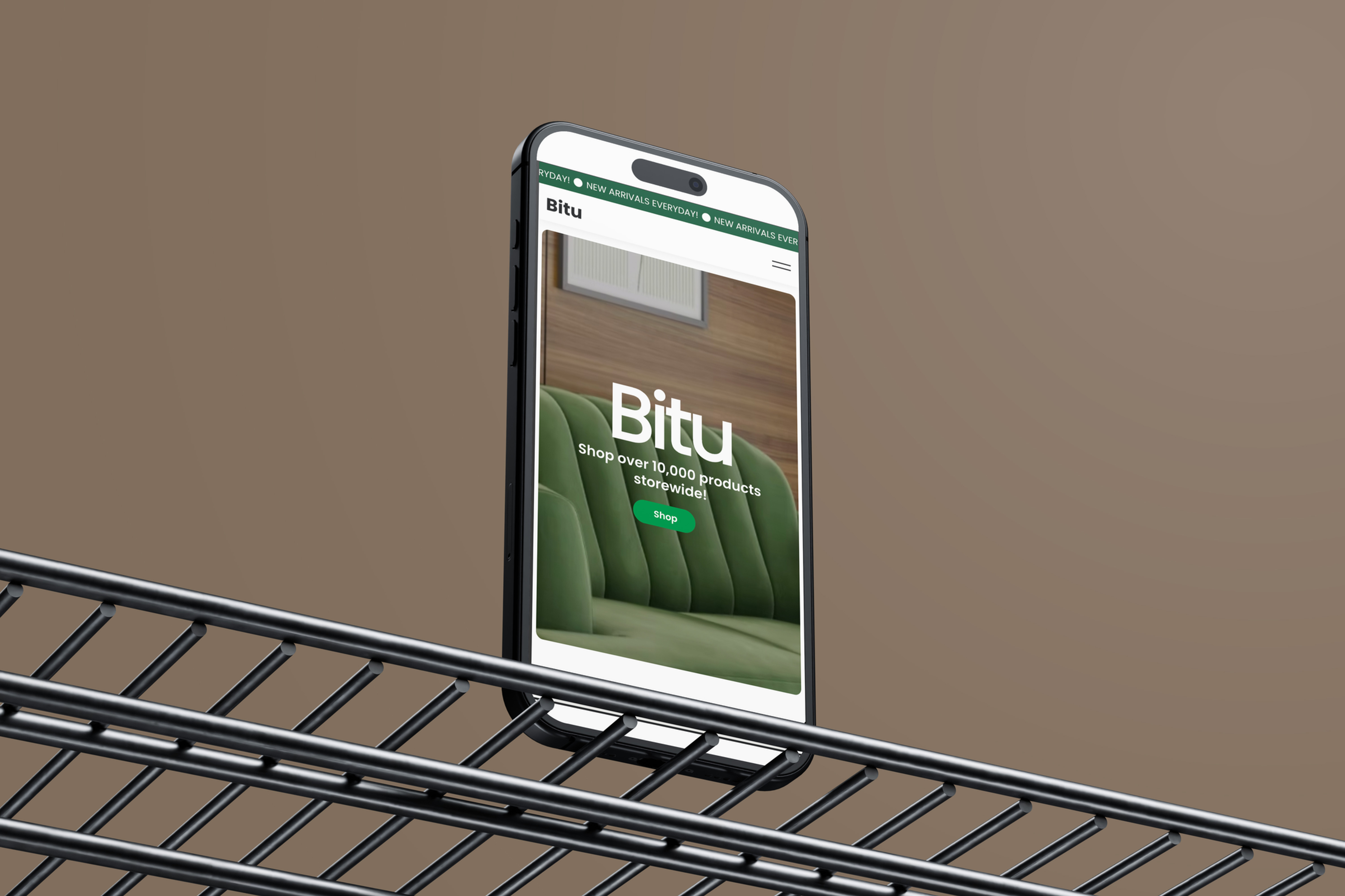 BITU 4